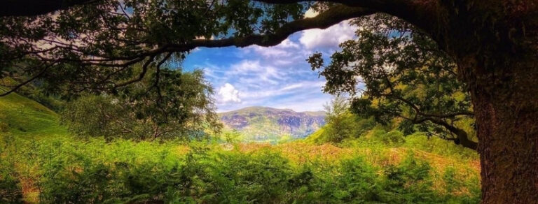 The Fairy Glen - Galleny Force | Lake District Walk | Lifehop