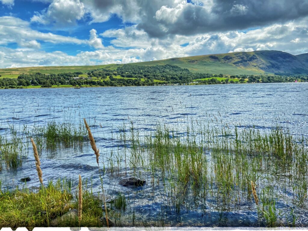 Best Places for Wild Swimming in the Lake District | Lifehop