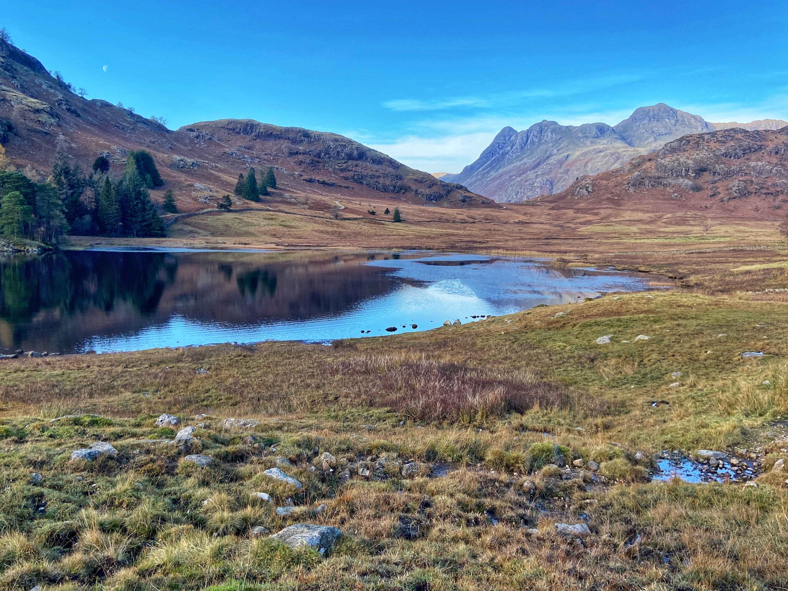 Blea Tarn and Langdale Pikes Print | Lake District | Lifehop