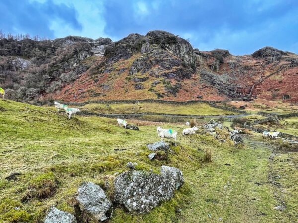 Kentmere Walk & Reservoir | Lake District Walk | Lifehop