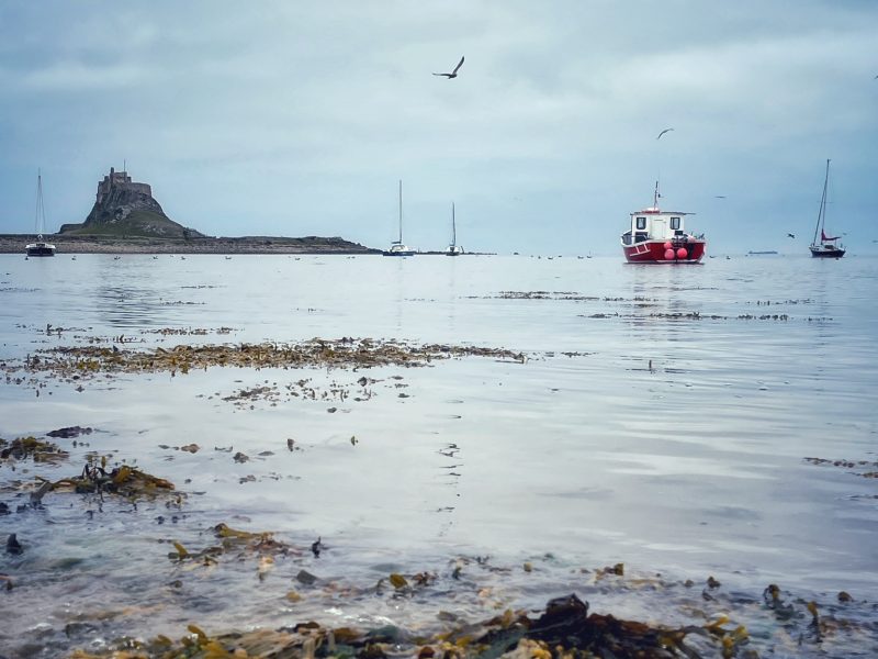 Northumberland Coast and Castles | Things to do | Lifehop