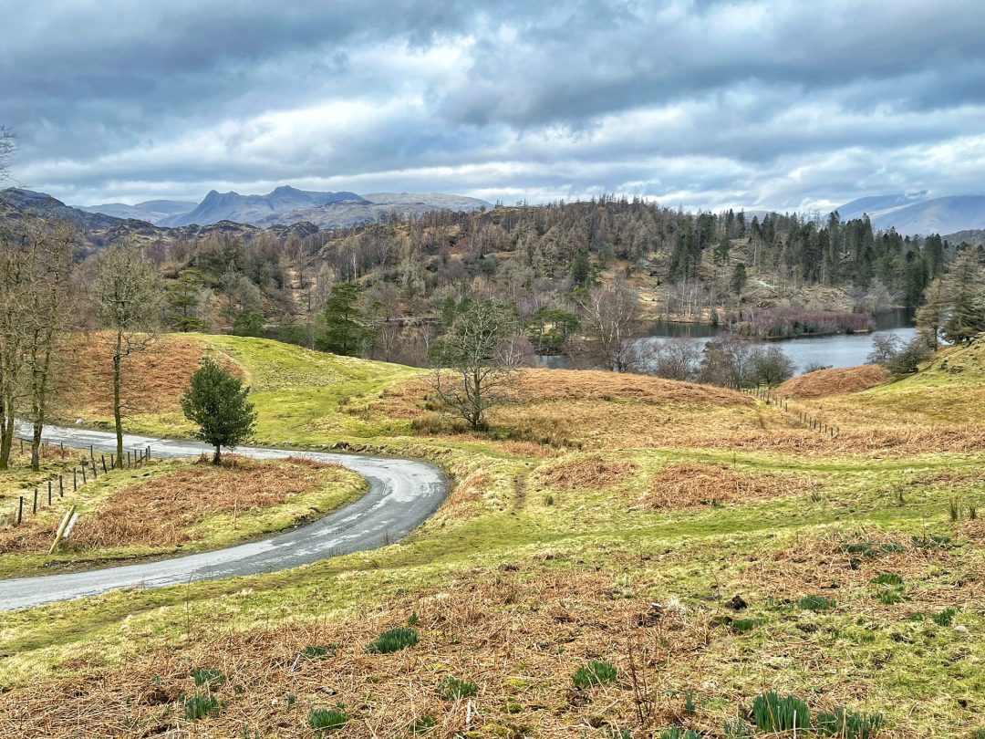 Tarn Hows Walk | Lake District Circular Walk | Lifehop