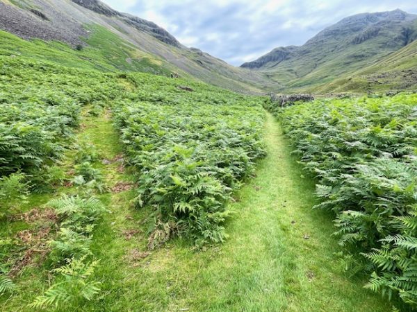 Wasdale Emerald Pool and Fairy Pools | Wild Swimming | Lifehop