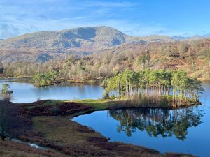 Tarn Hows Walk | Lake District Circular Walk | Lifehop